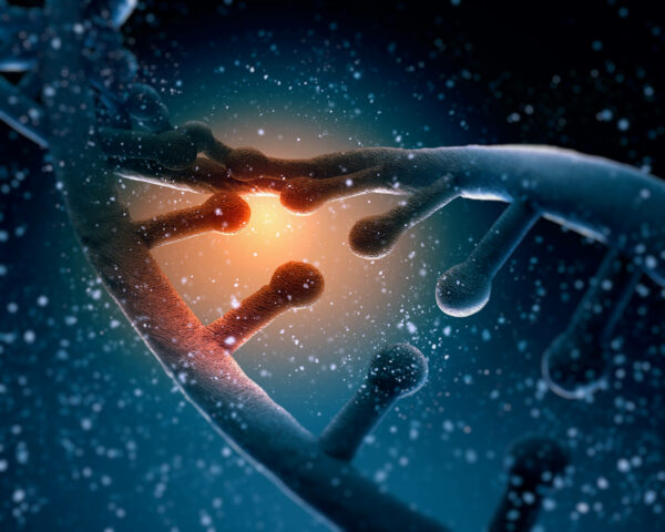 Home - Keac Parkstad