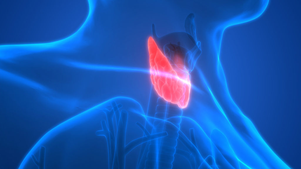 shutterstock_1021738480 - Keac Parkstad